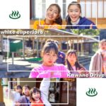 white superiors - Harmonize Conpany